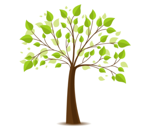 Help Plant Trees with Hub Planner - Hub Planner Knowledge Base